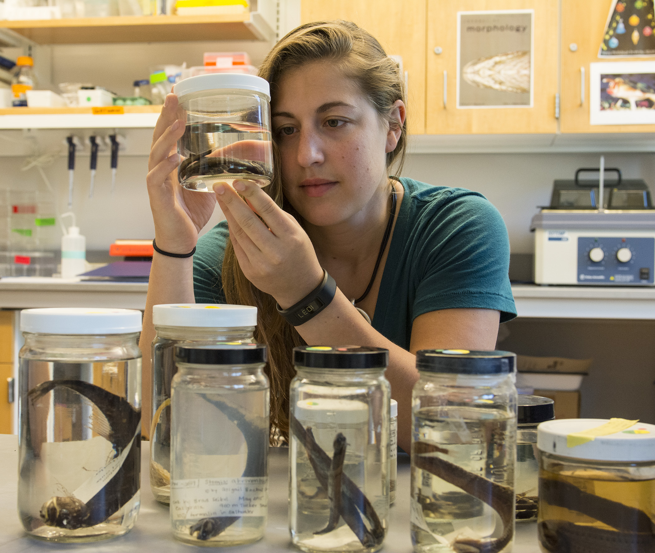 The Lateral Line System of Deep-Sea Fishes | The Webb Lab @ URI